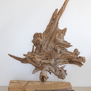 Alien Yacht - Pine Decorative Sculpture on the Drift Wood Stand - Etsy