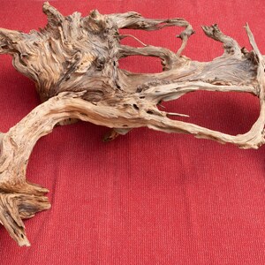The Dying Dragon - Pine Hanging Sculpture - Etsy