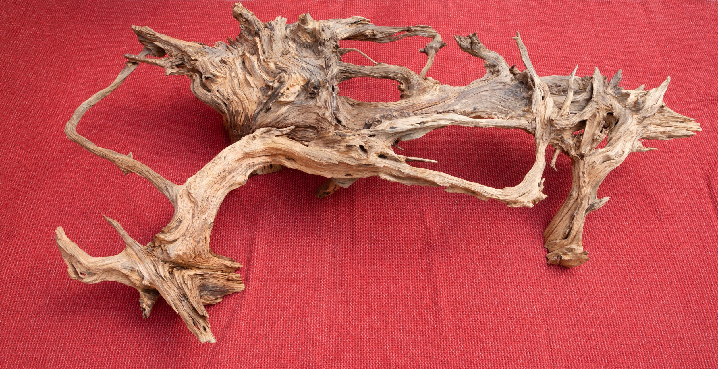 The Dying Dragon - Pine Hanging Sculpture - Etsy