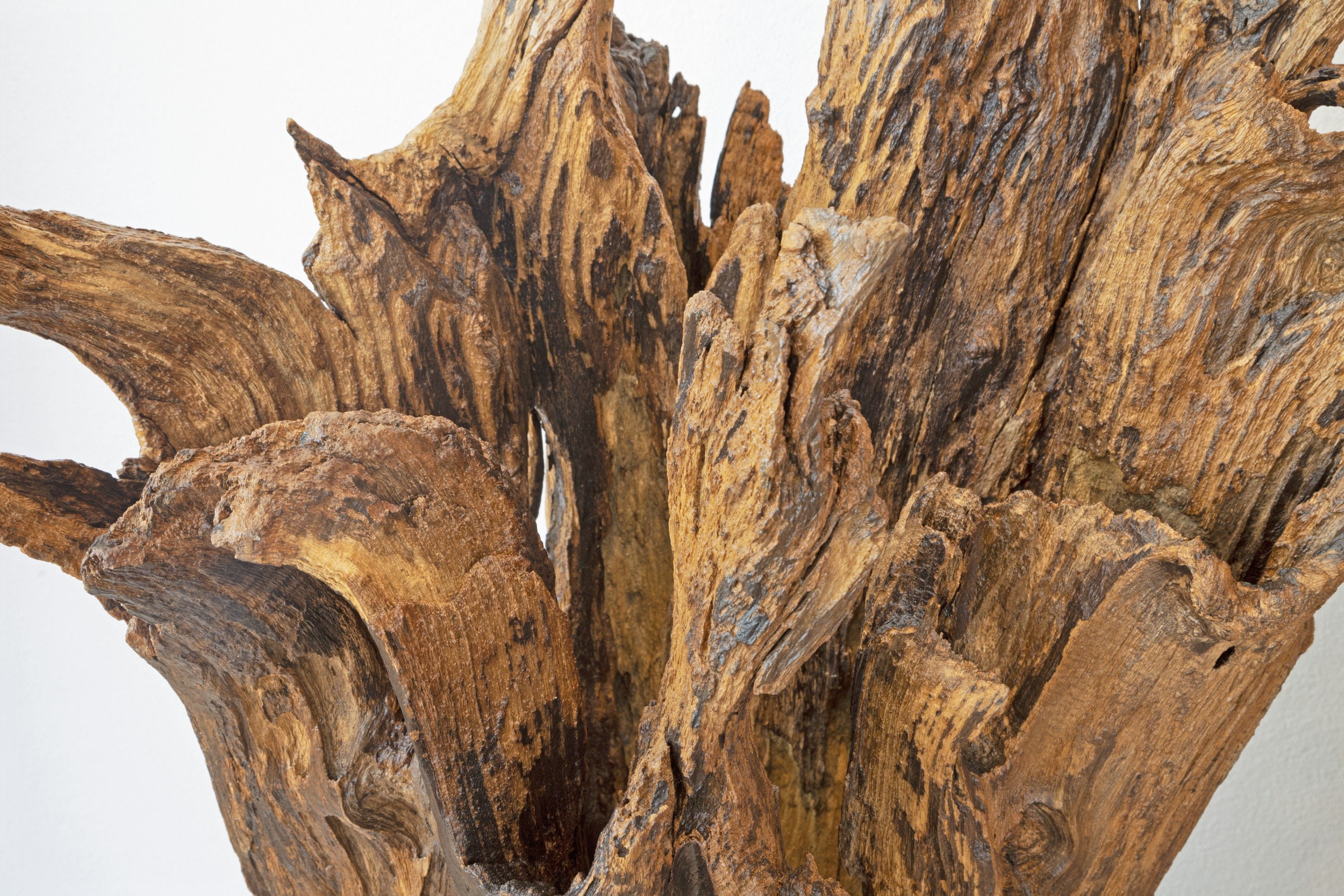 Noble Beginning and End - Acacia Decorative Sculpture - Etsy