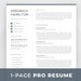 Professional Resume Template | Compact 1 Page Resume Template | Modern ...
