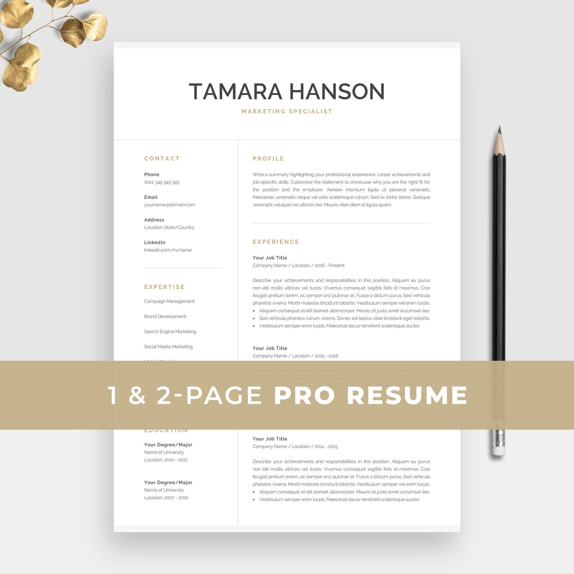 Professional Resume Template for Word & Pages | Modern Marketing Resume ...