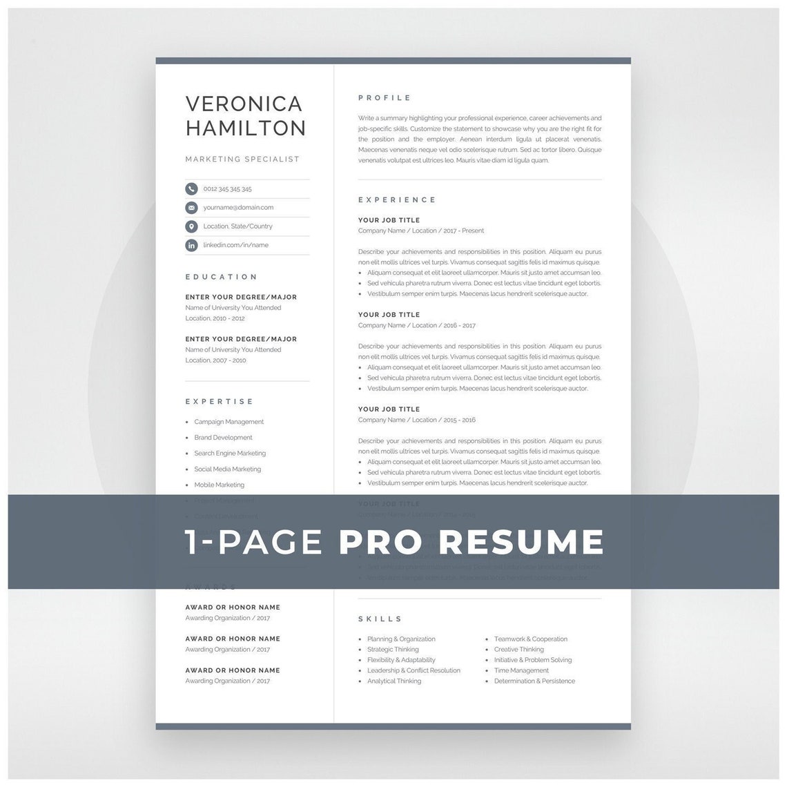 Professional Resume Template | Compact 1 Page Resume Template | Modern ...