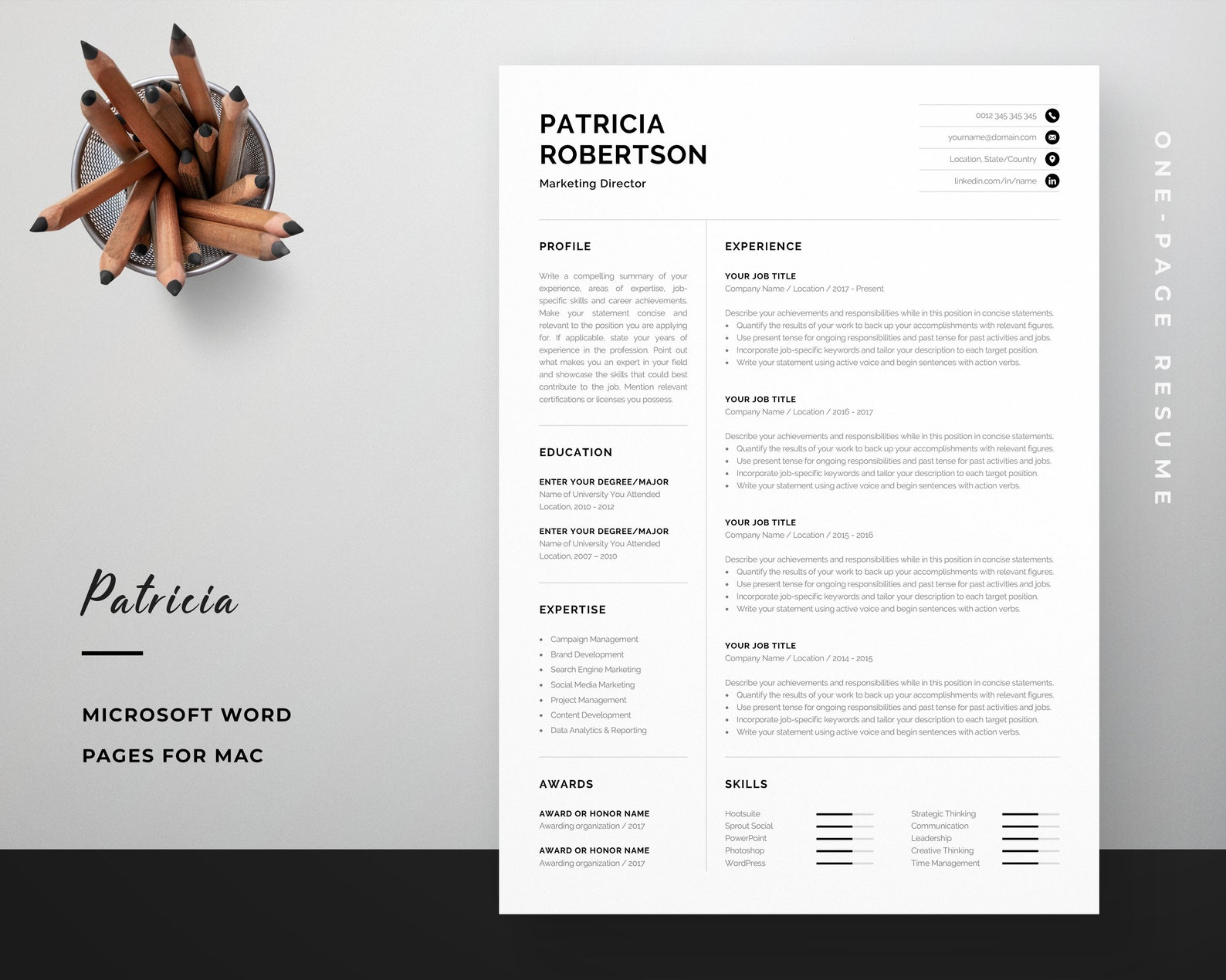 Professional 1 Page Resume Template | Modern One Page CV | Word & Mac ...