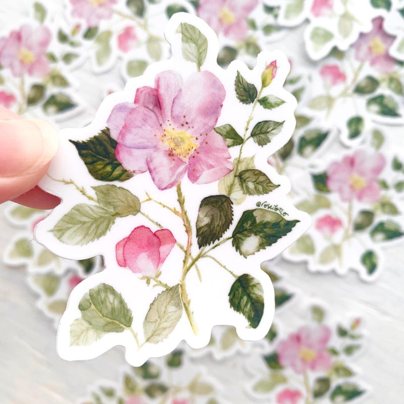 Wild Prairie Rose - Etsy