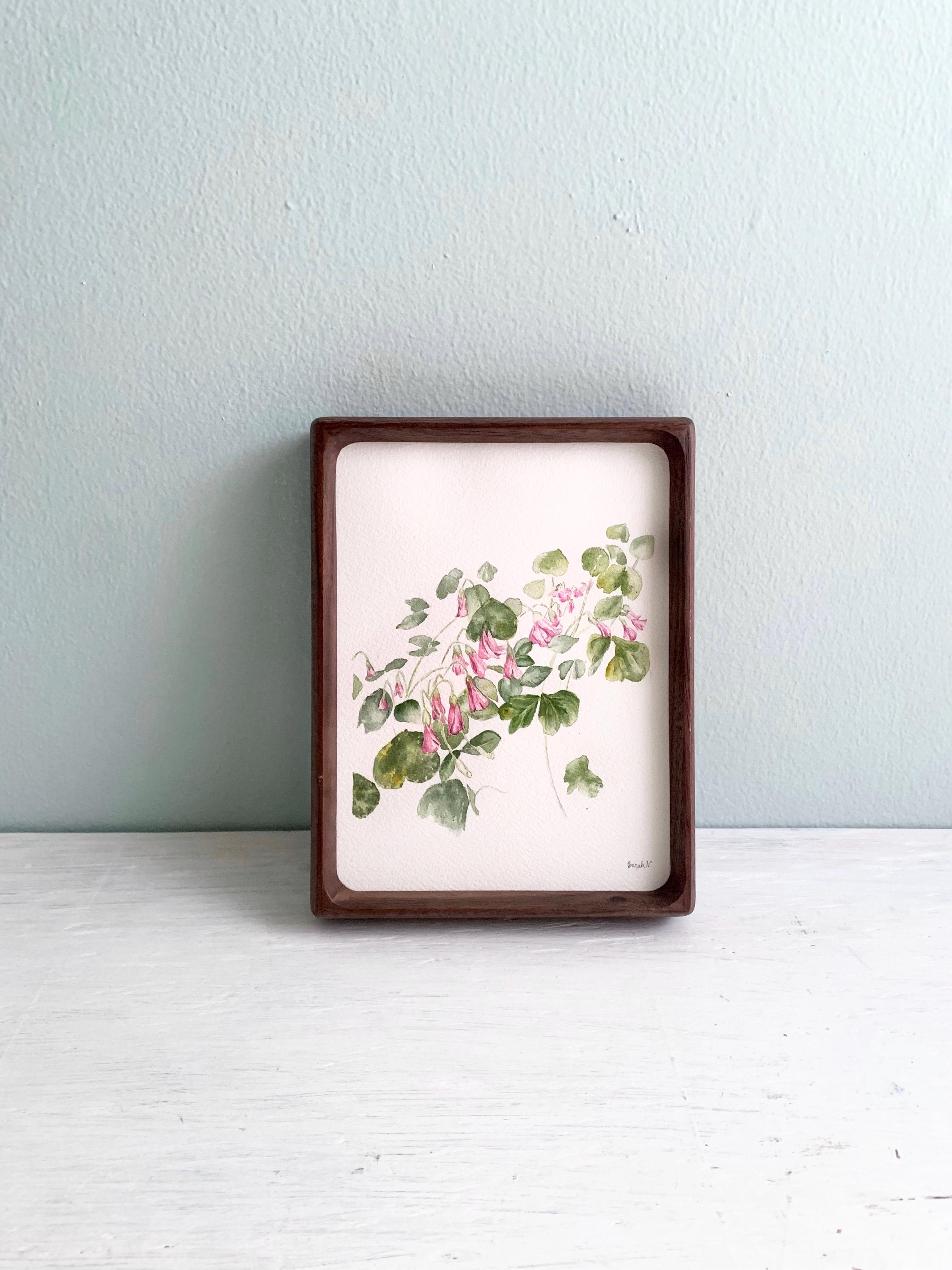 Wildflower Watercolor Painting, Violet Wood Sorrel - Original ...