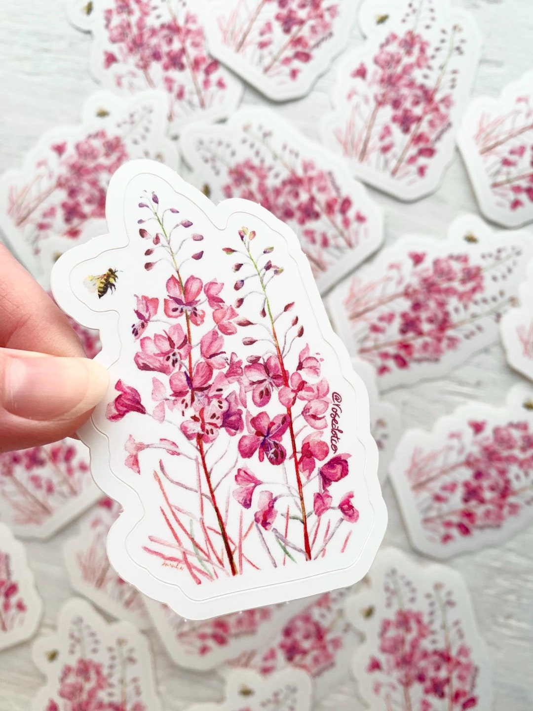Fireweed Wildflower Sticker, Vinyl Sticker, Watercolor Painting, Nature ...