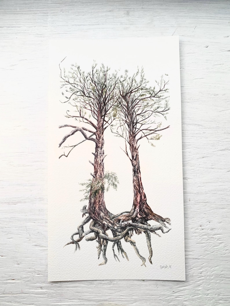 Twisted Timbers - Original Watercolor Tree Painting, Pine Tree Wall Art ...