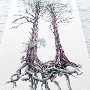 Twisted Timbers - Original Watercolor Tree Painting, Pine Tree Wall Art ...