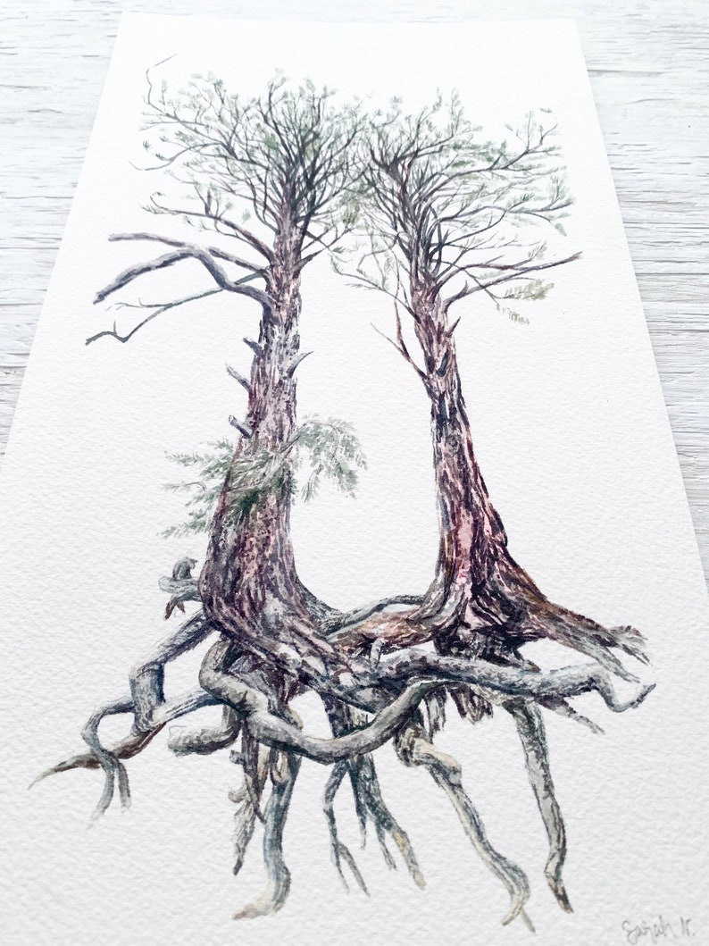 Twisted Timbers - Original Watercolor Tree Painting, Pine Tree Wall Art ...