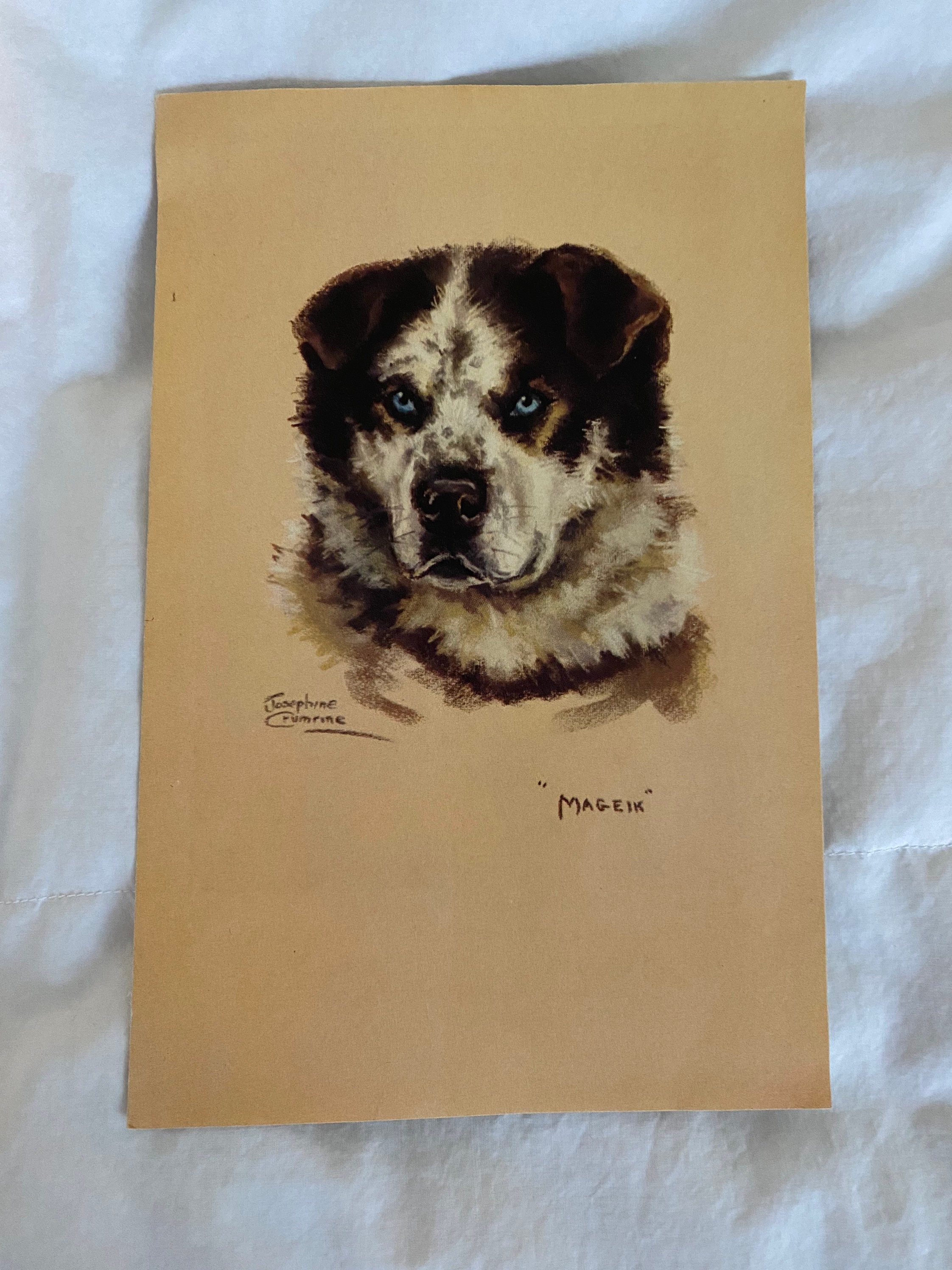 Josephine Crumrine - Alaska Artist Photo and Menus - Etsy