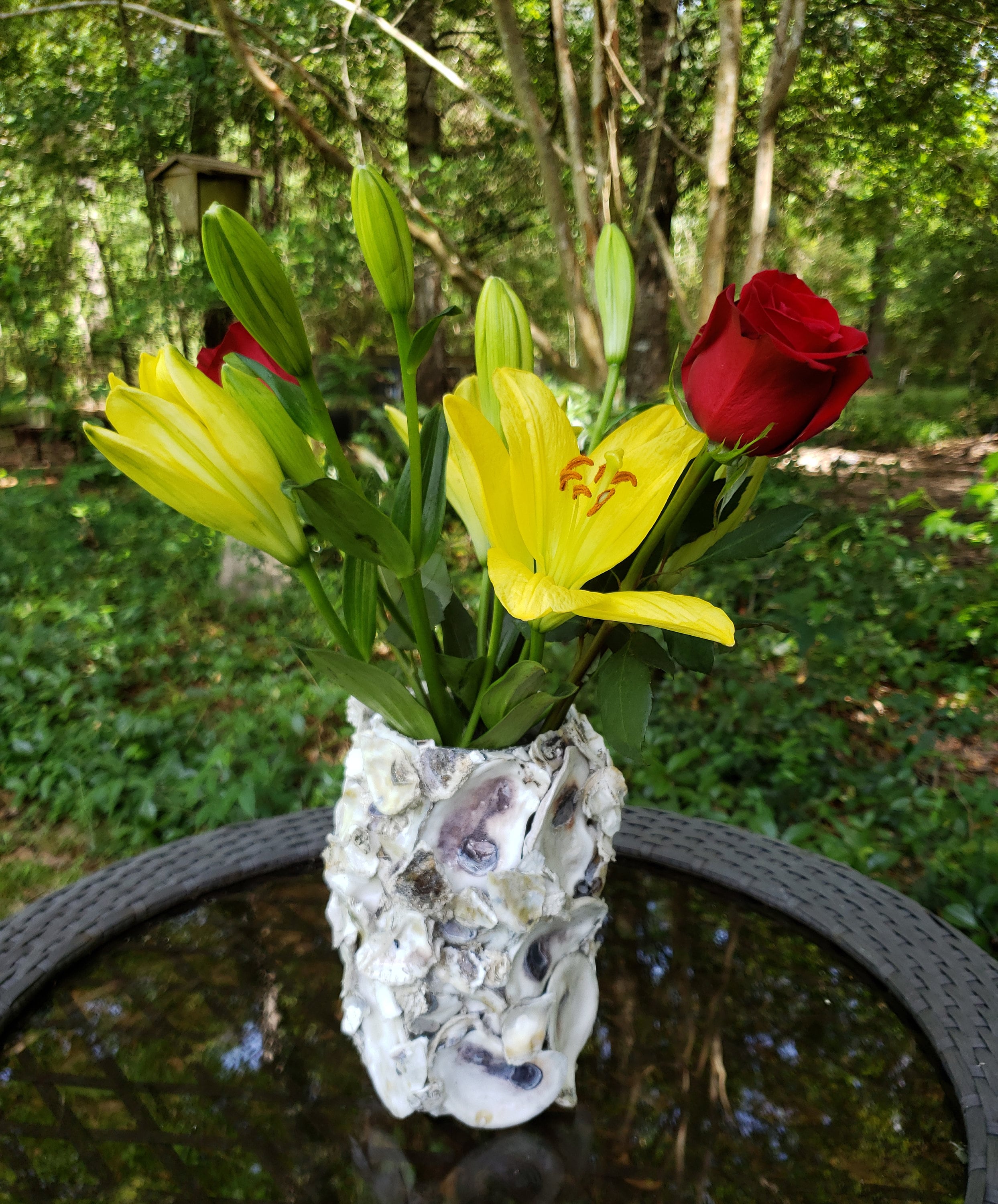 Oyster Shell Vase, Flower Vase, Custom Flower Vase - Etsy