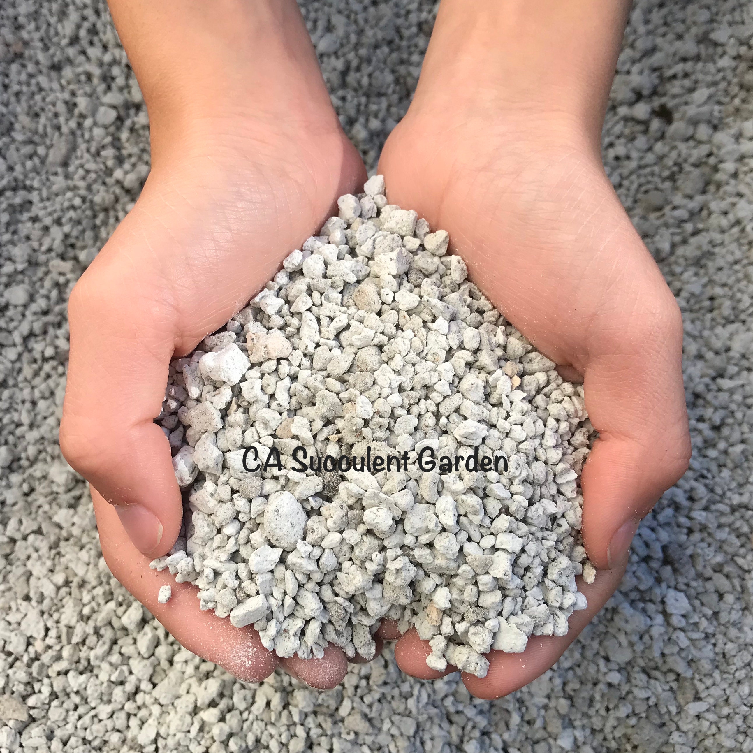 Pumice Substrate Ingredient for Succulent Cactus Bonsai Soil Mix ...