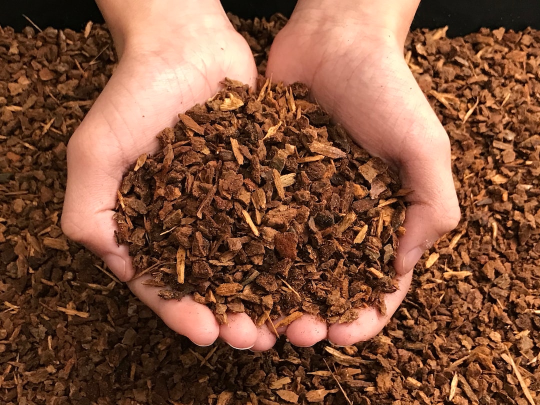 Orchid Bark Substrate Fine - Small Bark Pieces Ideal for Seedlings - Etsy