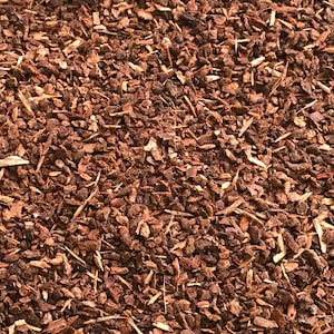 Orchid Bark Substrate Fine - Small Bark Pieces Ideal for Seedlings - Etsy