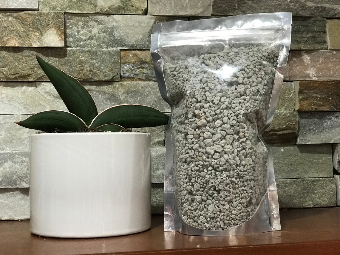 Pumice Substrate Ingredient for Succulent Cactus Bonsai Soil - Etsy
