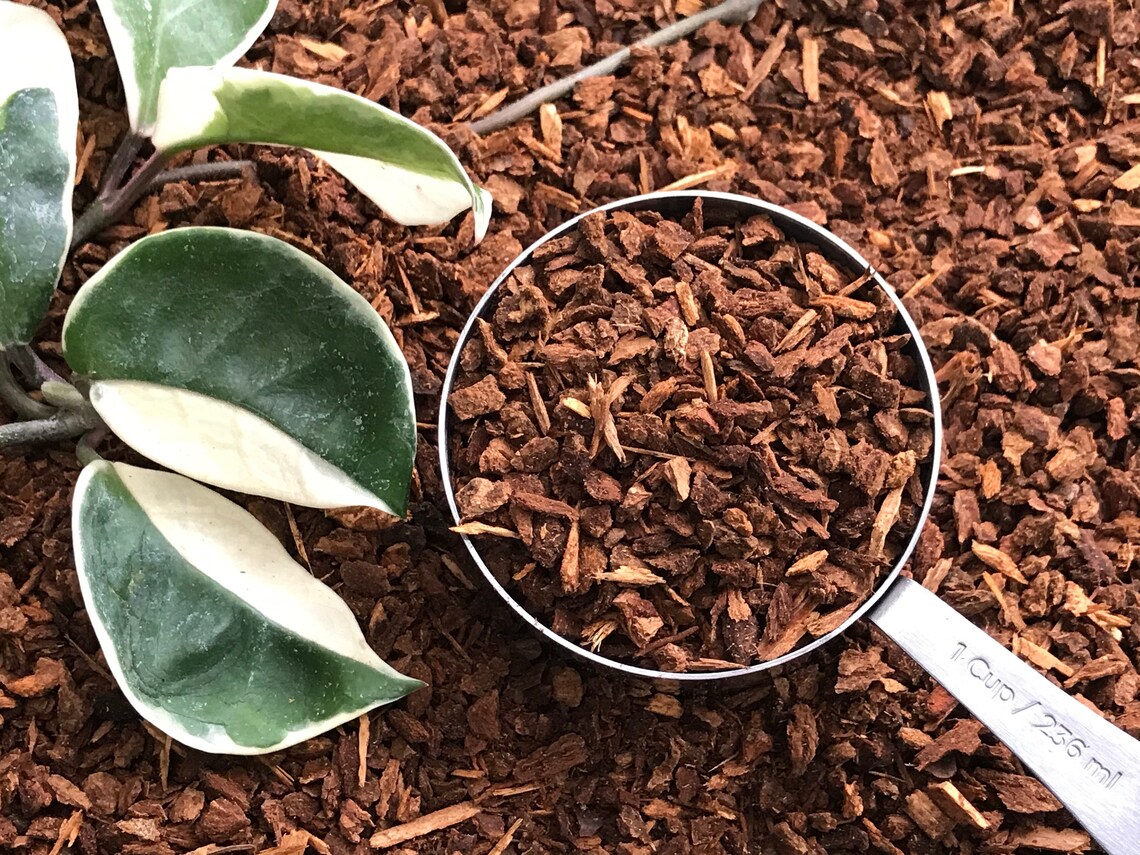 Orchid Bark Substrate Fine Small Bark Pieces Ideal for - Etsy
