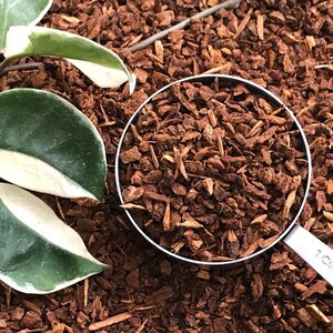 Orchid Bark Substrate Fine Small Bark Pieces Ideal for - Etsy Canada