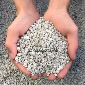 Pumice Substrate Ingredient for Succulent Cactus Bonsai Soil Mix ...