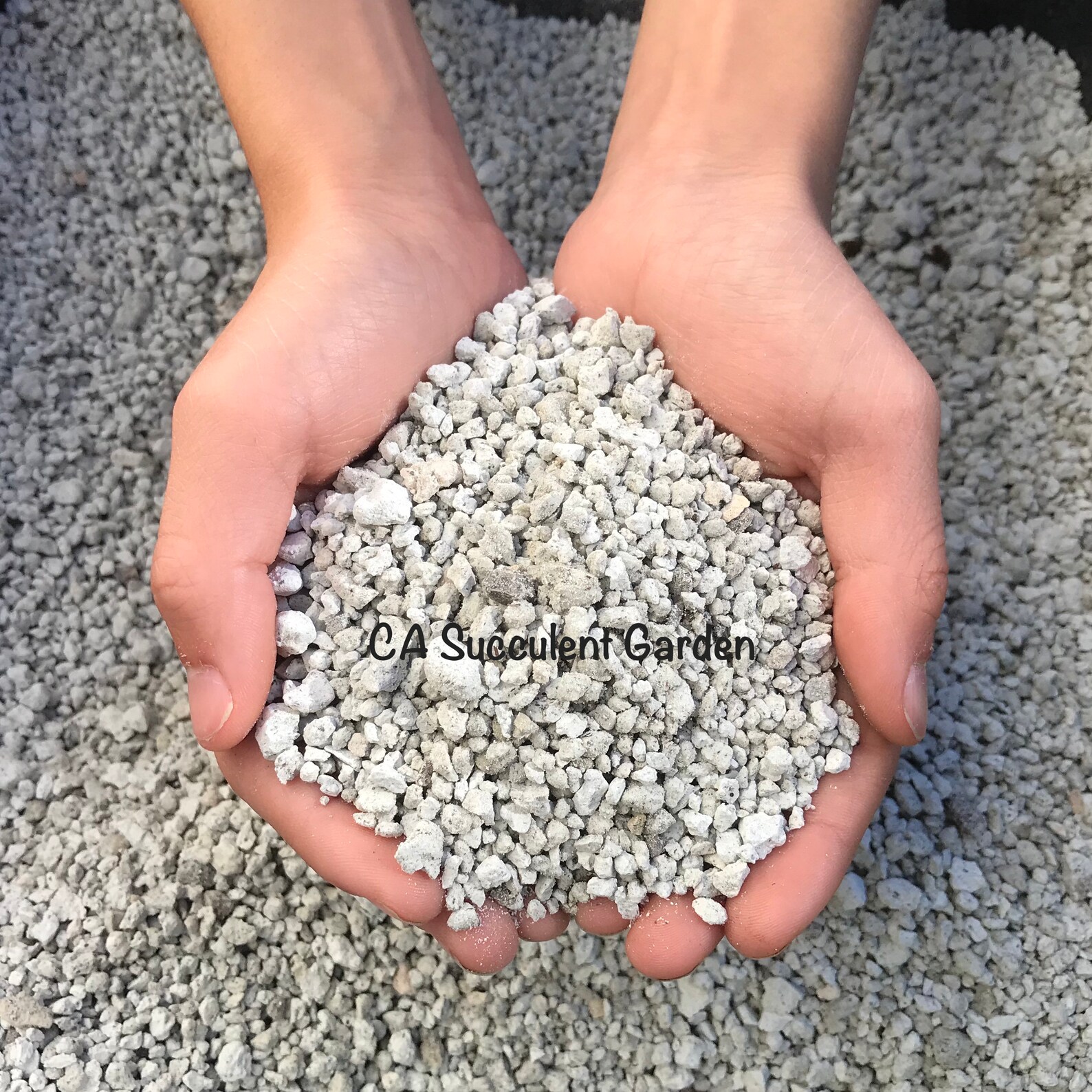 Pumice Substrate Ingredient for Succulent Cactus Bonsai Soil Mix ...