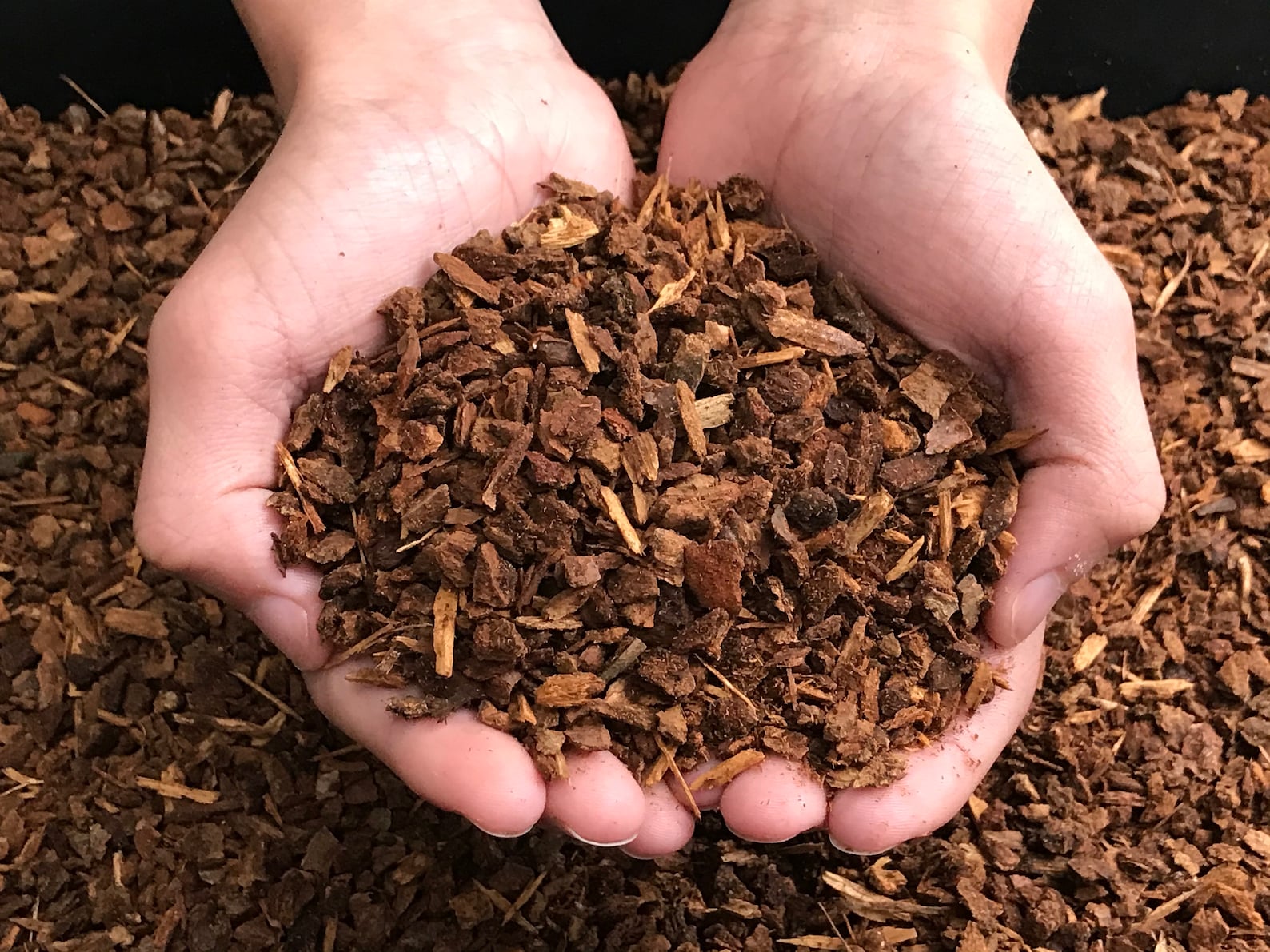 Orchid Bark Substrate Fine - Small Bark Pieces Ideal for Seedlings - Etsy