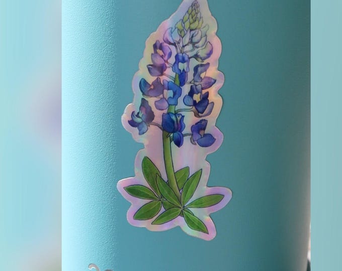 Texas Sticker | Texas Wildflowers | Texas Bluebonnets | Vinyl Texas ...