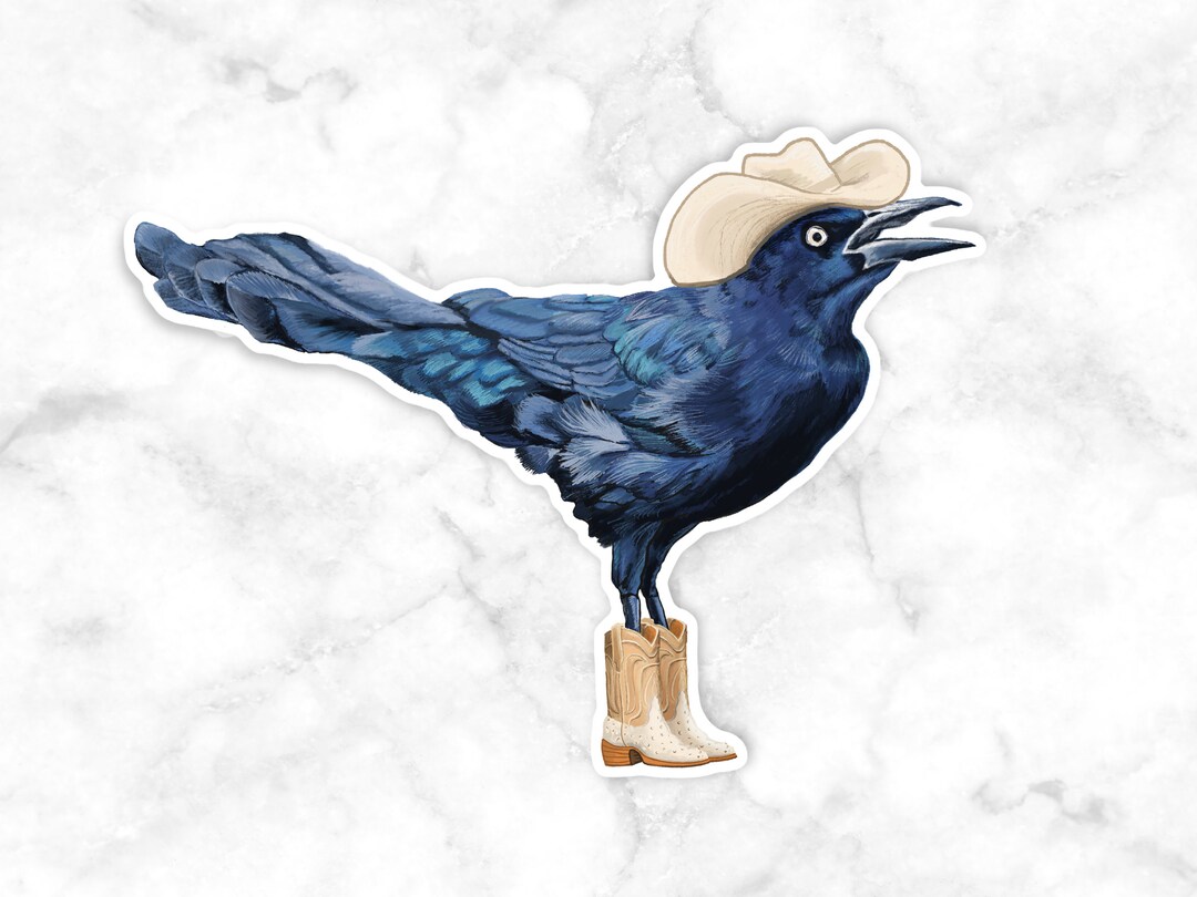 Grackle Cowboy Sticker, Grackle Bird Cowboy Vinyl Sticker, Bird Lovers ...