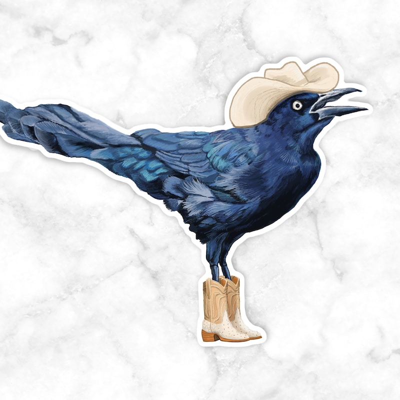 Birds of Texas Sticker - Etsy