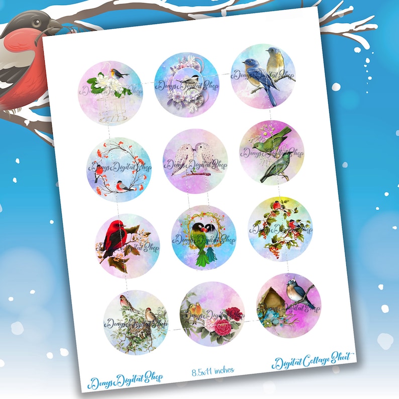 Circle Birds,vintage Birds,collage Sheet,birds Printable,download Image ...