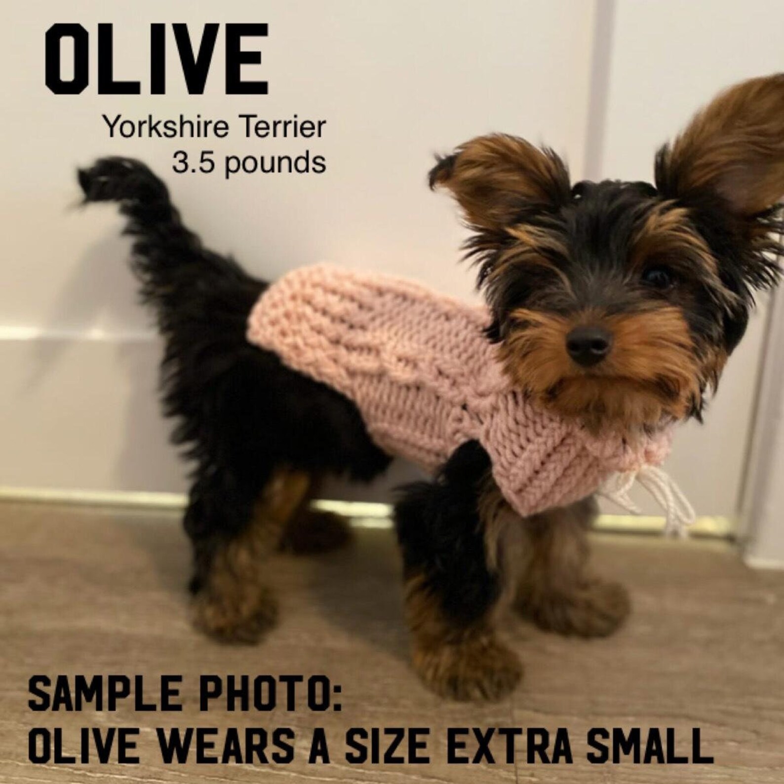 Dog Sweater Teacup Dog Sweater Custom Dog Sweater Dog - Etsy