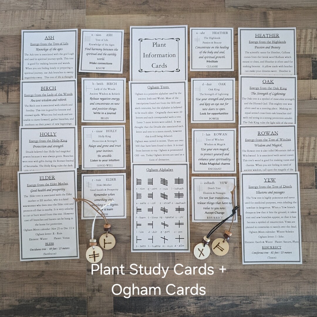 PLANT STUDY Cards - Ogham Trees - Herbal Spells - Hedge Witch - Botany ...