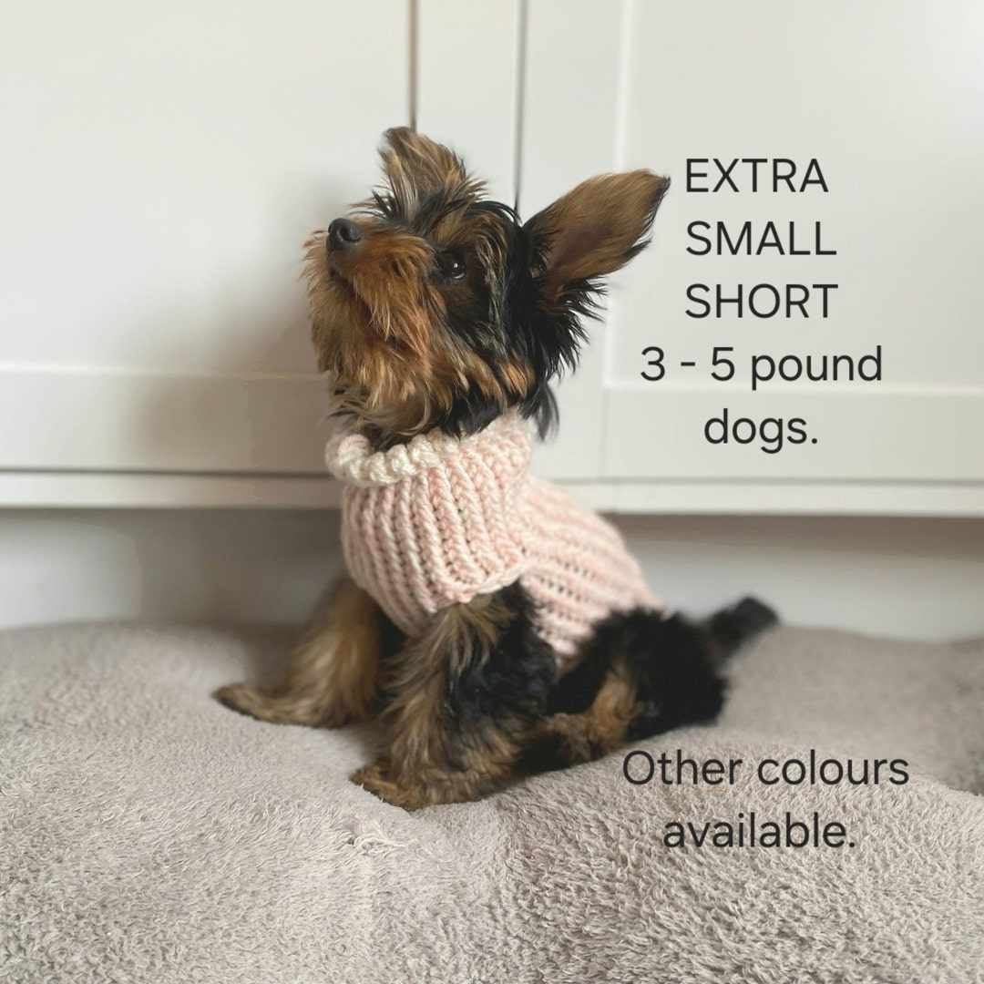Teacup Dog Sweater - Handknit Dog Sweater - Small Dog Clothes ...