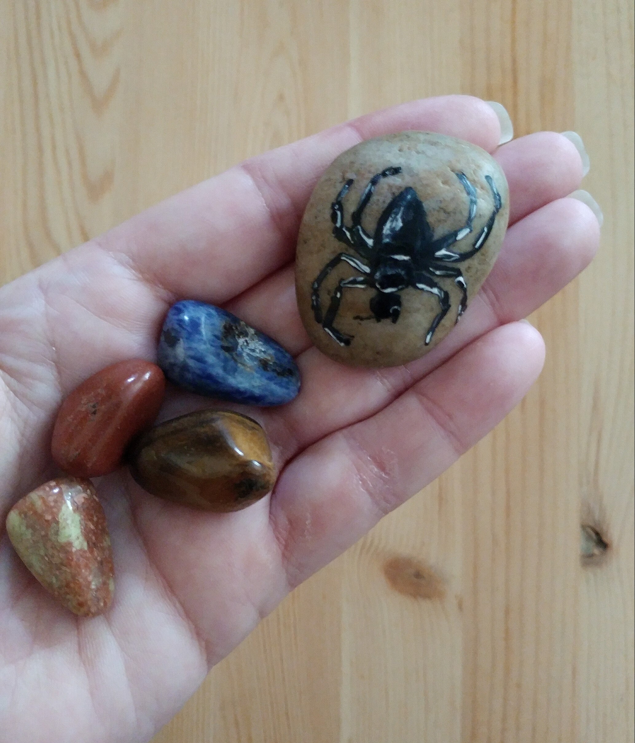 SPIDER Trinket Box Gemstones Witch Box Spider Necklace - Etsy