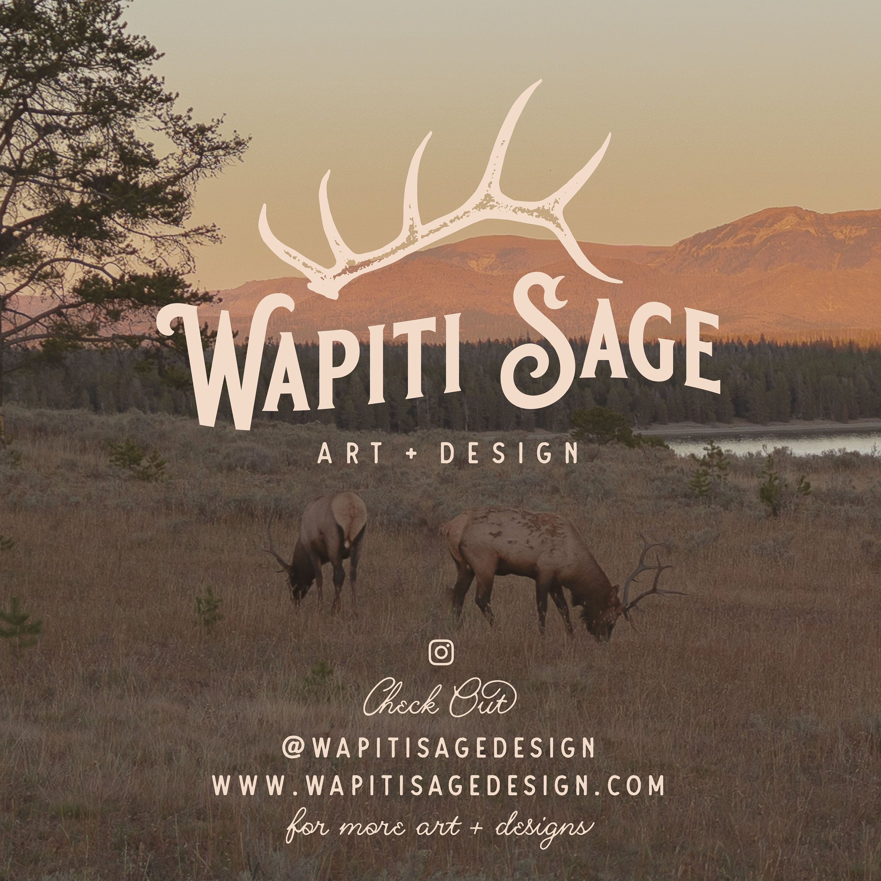 Cow Baby Shower Invitation Western Ranch Baby Shower Invite Cowboy ...