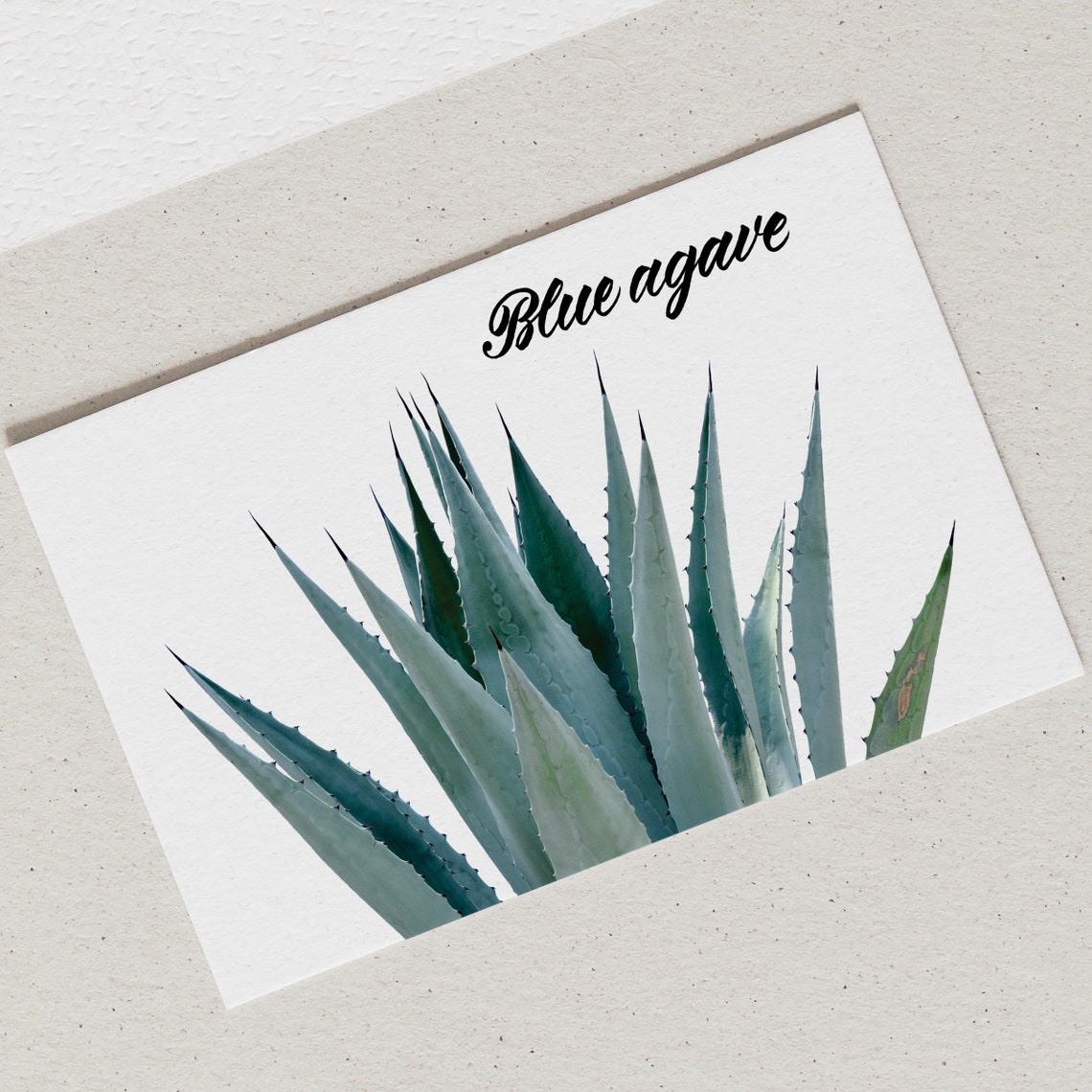 Blue Agave or Agave Tequilana Photo With Calligraphy Sign, Poster or ...