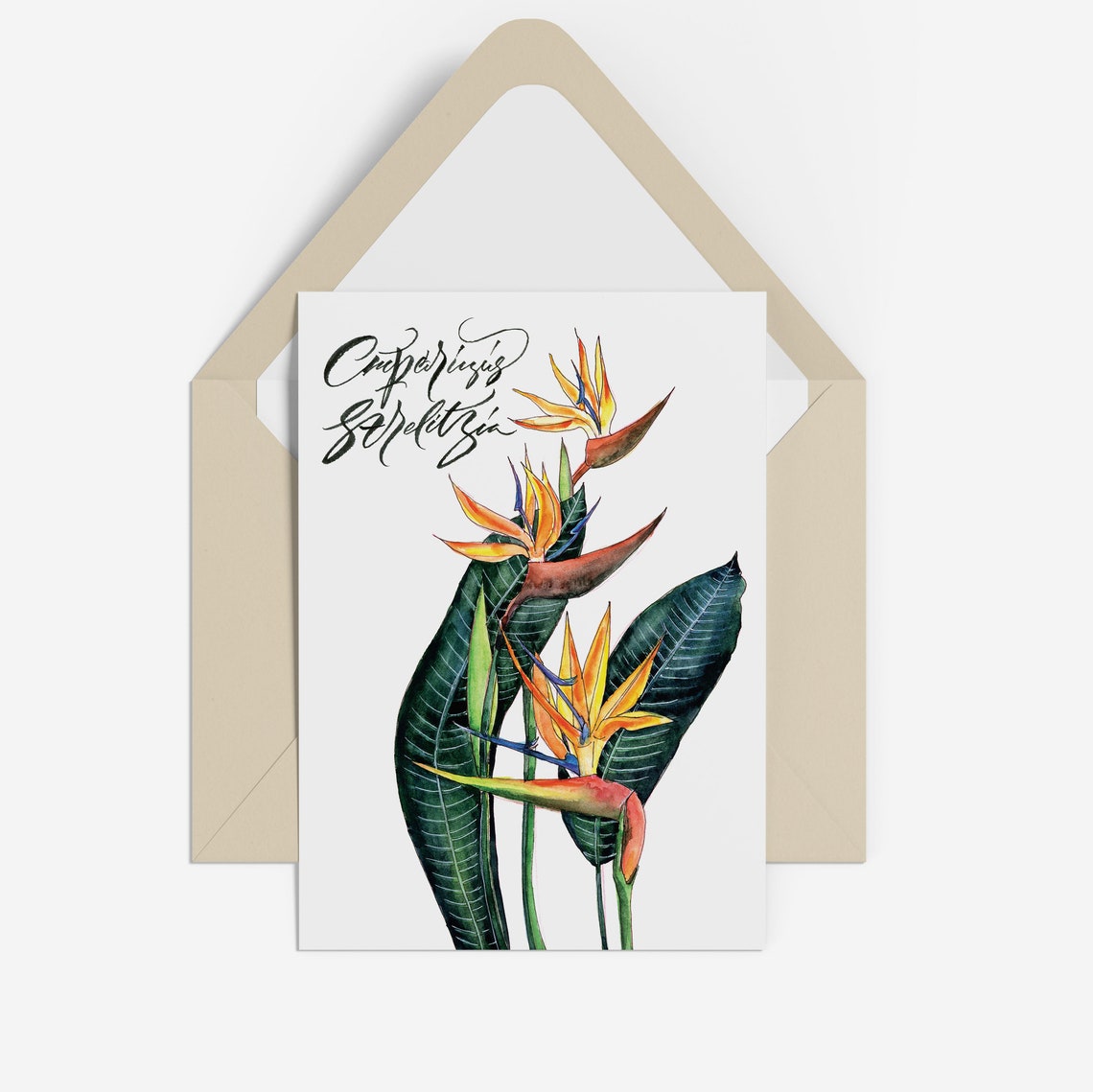 Strelitzia Print, Bird-of-paradise Art. Calligraphy and Watercolour ...