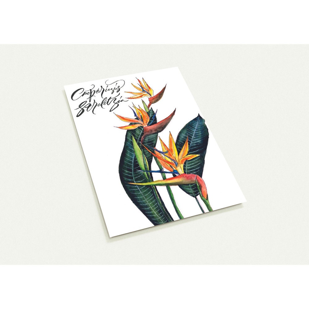 Strelitzia Print, Bird-of-paradise Art. Calligraphy and Watercolour ...
