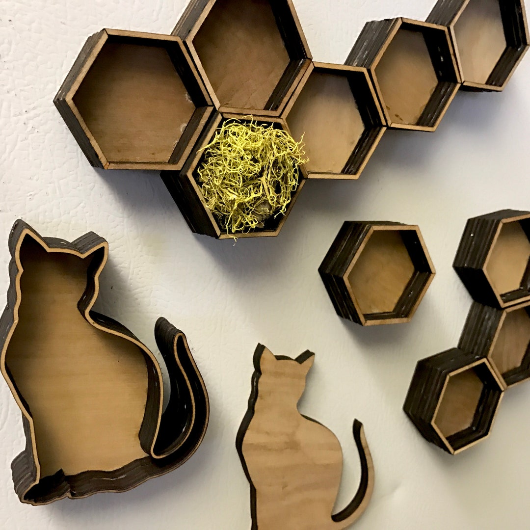 Hexagon Moss Art Magnet - Etsy