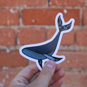 Whale Sticker, Vinyl Sticker - Etsy