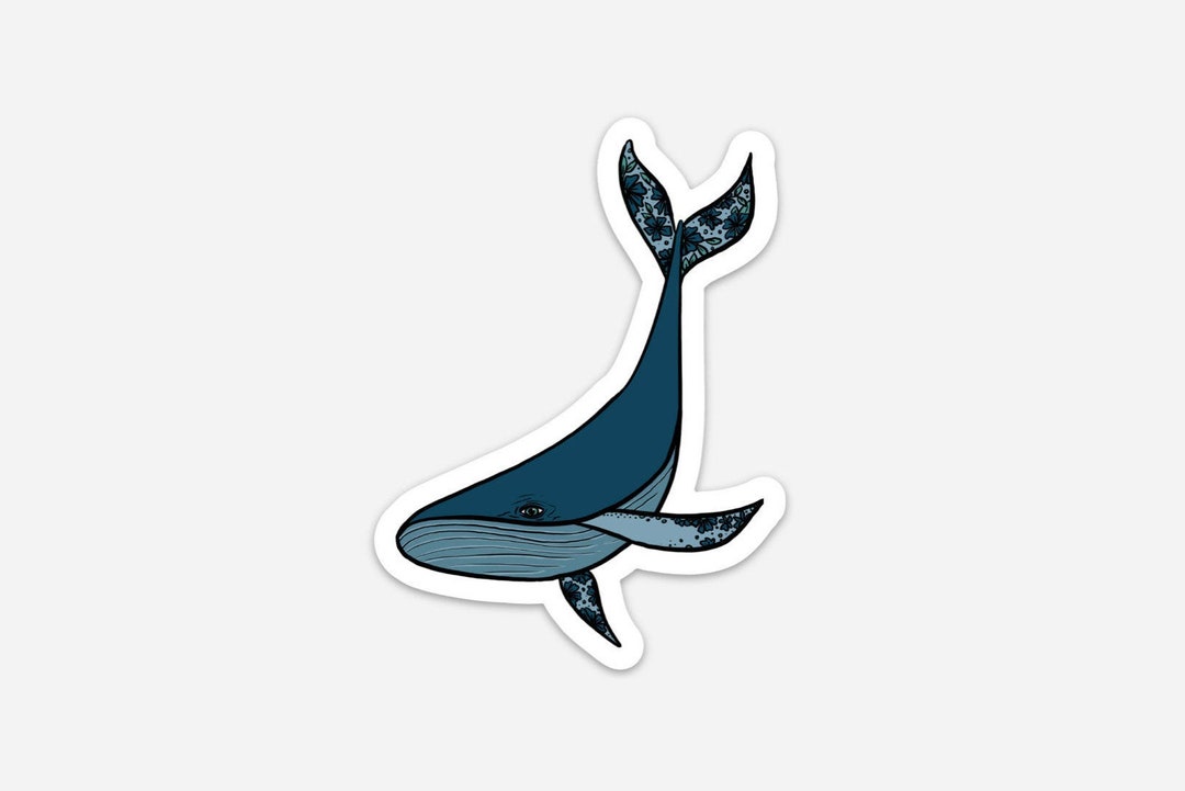 Whale Sticker, Vinyl Sticker - Etsy