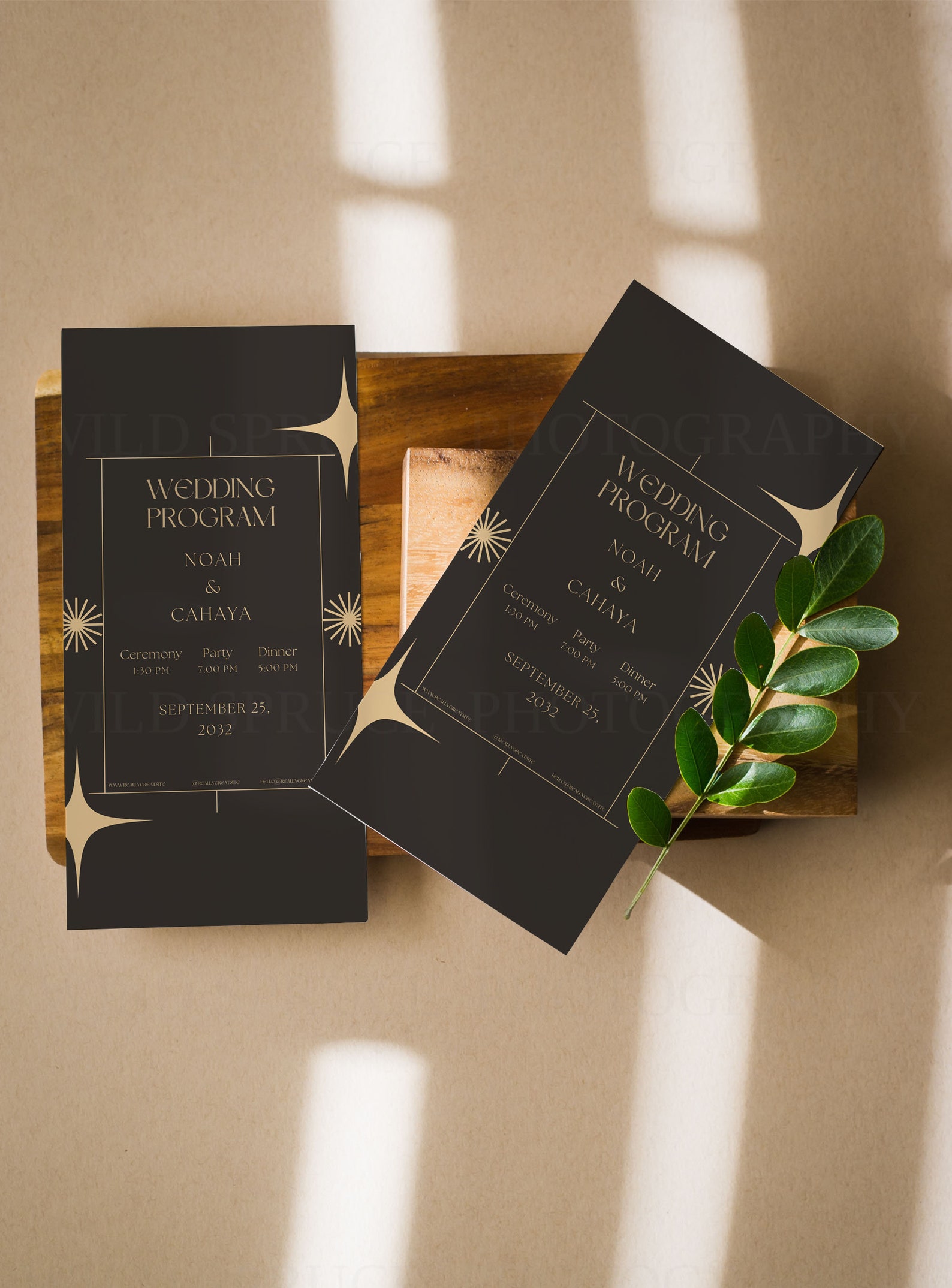 Modern Program Mockup, Minimalist Program Mockup, Program Mockup ...