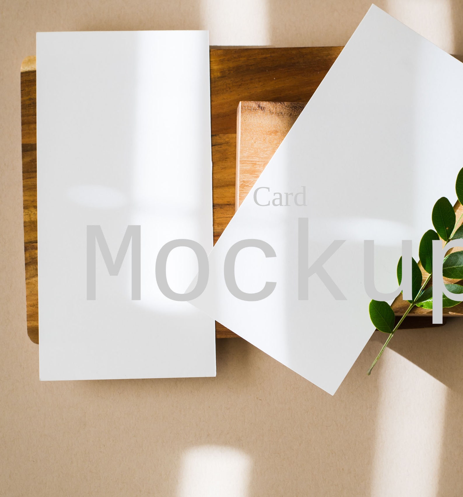 Modern Program Mockup, Minimalist Program Mockup, Program Mockup ...
