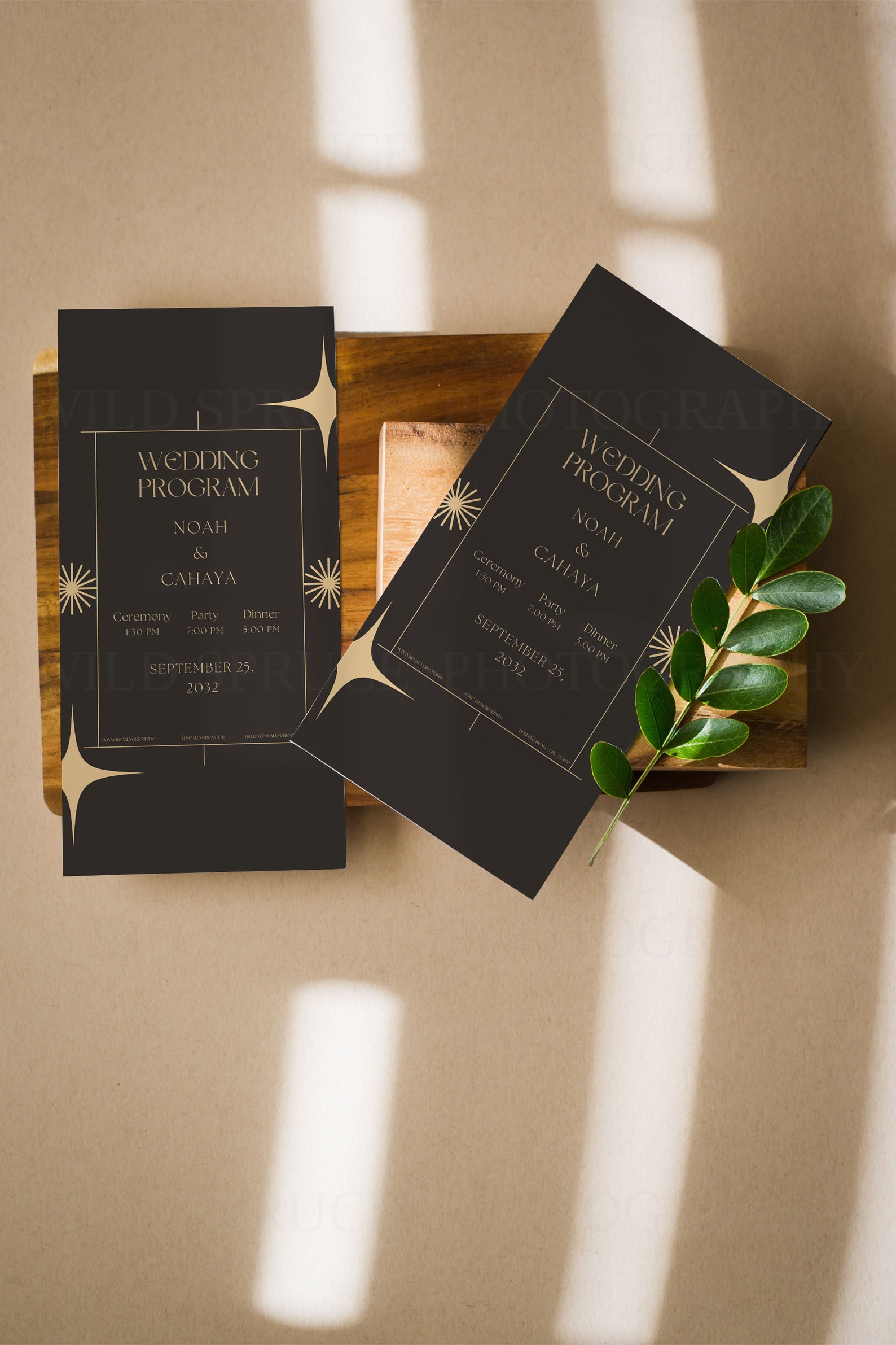 Modern Program Mockup, Minimalist Program Mockup, Program Mockup ...