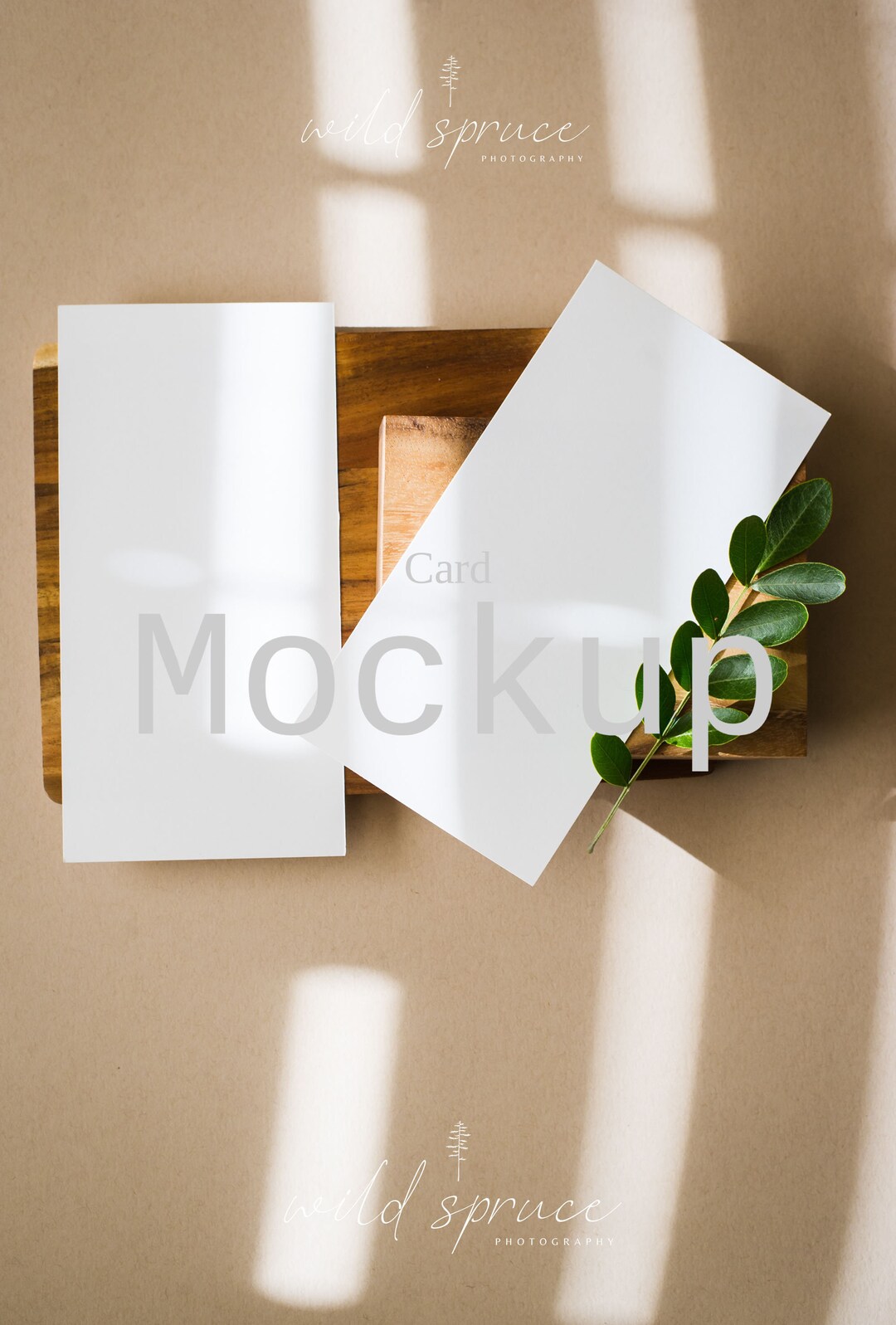 Modern Program Mockup, Minimalist Program Mockup, Program Mockup ...