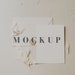 Styled Mockup, Styled Background Mockup, Background Mockup, Styled ...