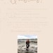 Address Label Mockup, Stationery Envelope Mockup (JPG, PSD) - Etsy