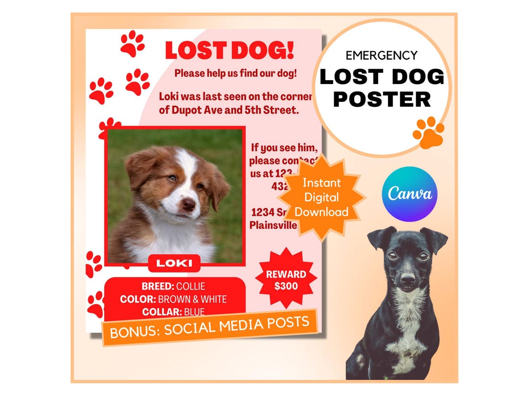 Lost Dog Poster | Missing Dog Poster | Canva Templates | Lost Dog ...
