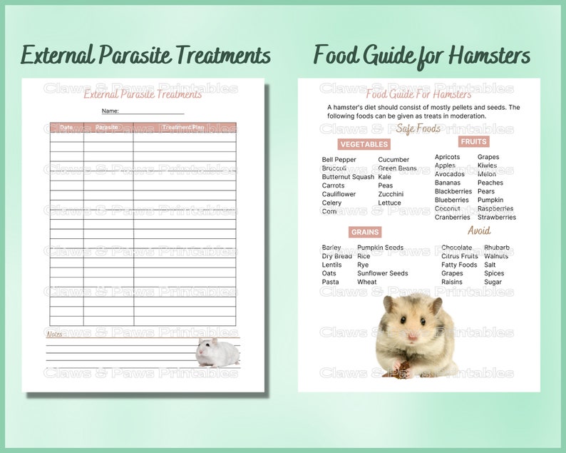 Comprehensive Hamster Care Planner 16 Pages Printable - Etsy