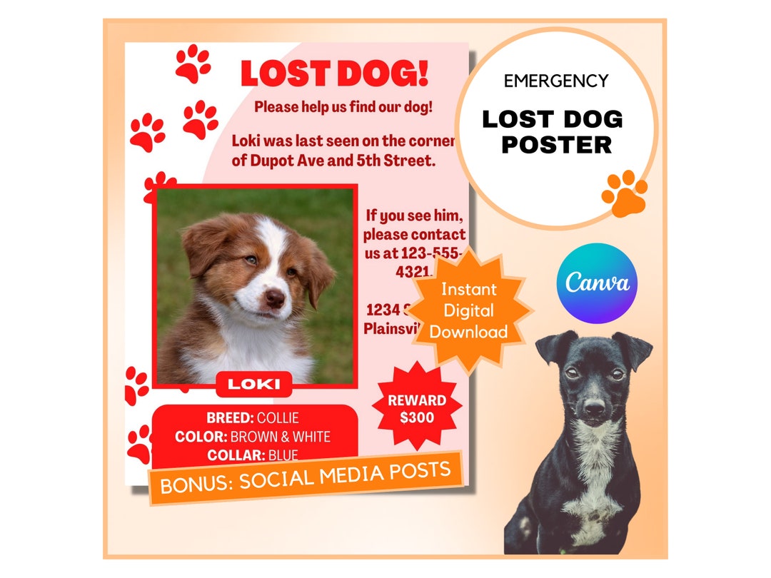 Lost Dog Poster | Missing Dog Poster | Canva Templates | Lost Dog ...
