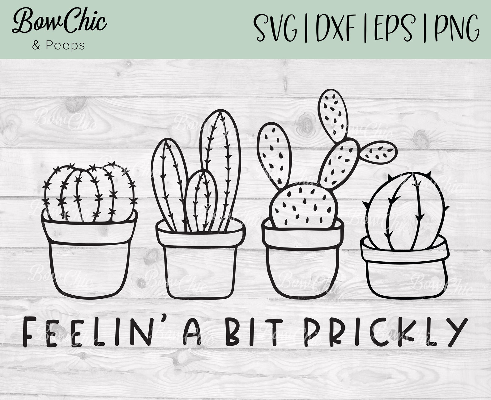 Feeling' A Bit Prickly Svg Cactus Svg Plant Svg - Etsy